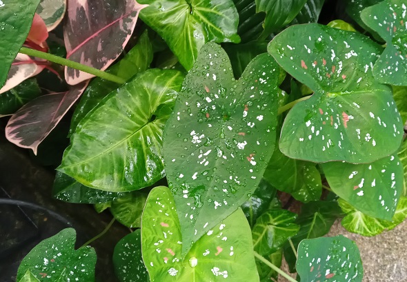 ERJ Brainteaser: March | European Rubber Journal