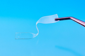 Zeon in linkup to commercialise bio-isoprene monomers | European Rubber ...