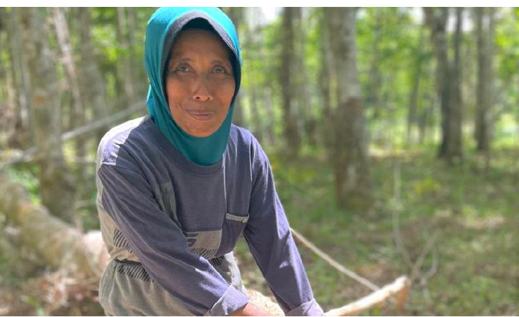 GPSNR: Indonesia’s rubber industry shrinking but smallholders keep ...